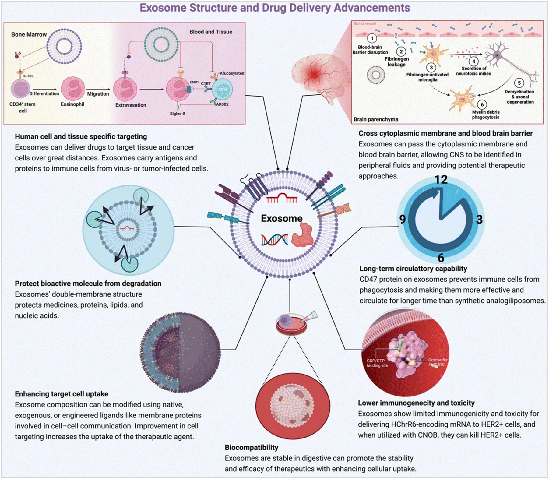 How can plant-derived extracellular vesicles (EVs) transform cancer ...